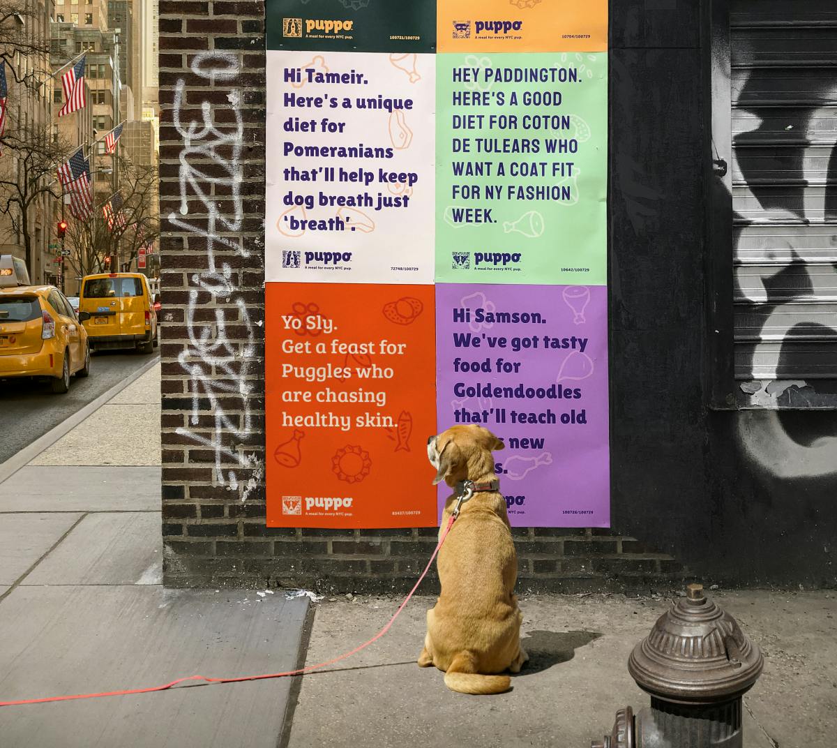 Puppo creates a personalised ad for every dog in New York City in ...