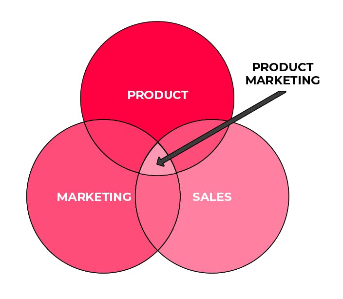 Defining product strategy, management and marketing