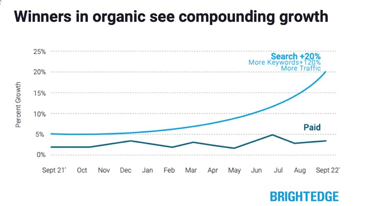 Search and SEO in 2023: What do the experts predict?