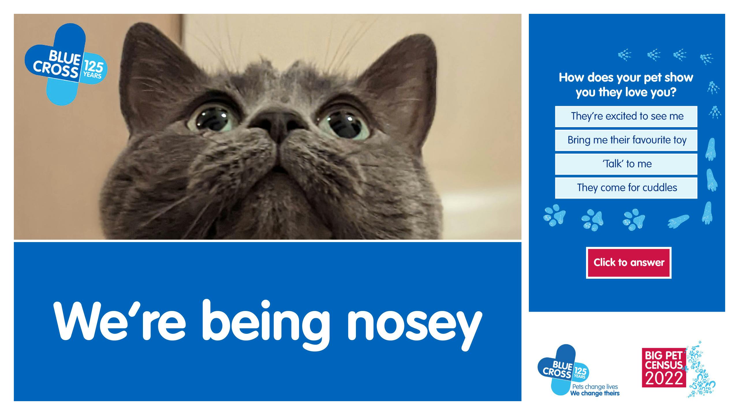Blue Cross Big Pet Census attracts new direct debit supporters