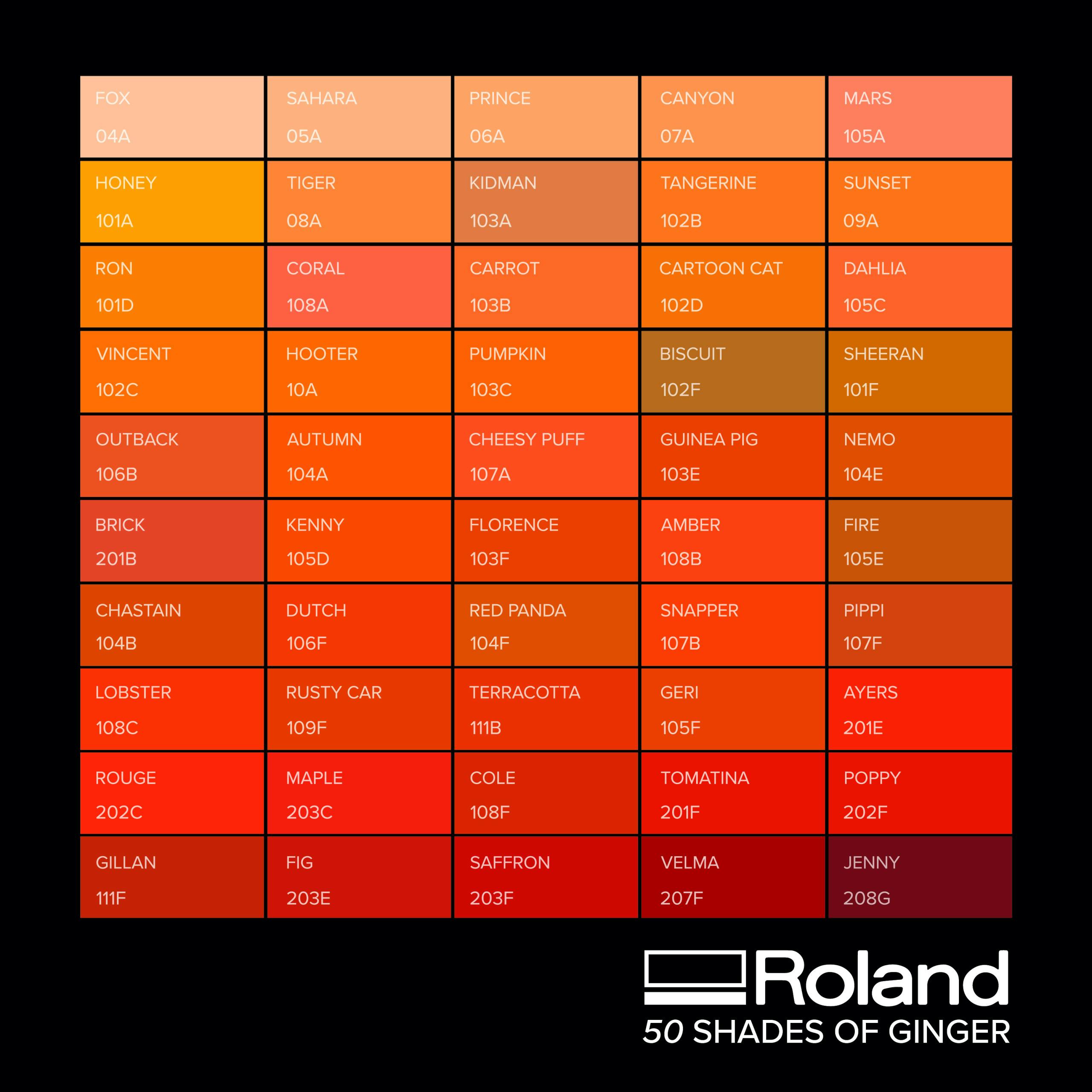 Printer brand boosts organic search traffic 196% through content and ...