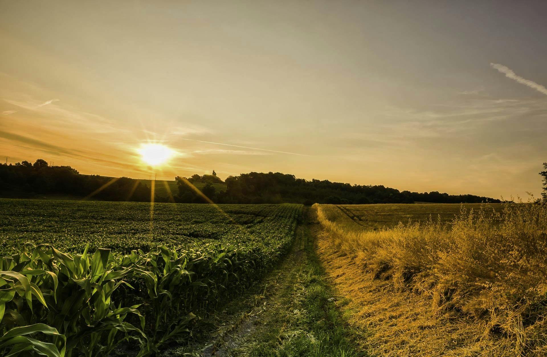 Life Sciences and Consumer Care company launches employee advocacy ...