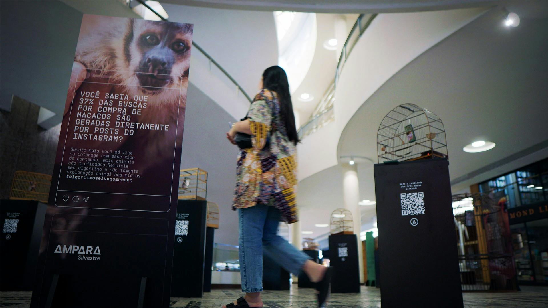 Brazilian animal protection organisation transforms perceptions of wild pet trade with ...
